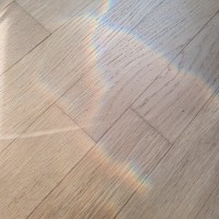 Delia Stone - Calling Fans - Platform that monetizes your social activity